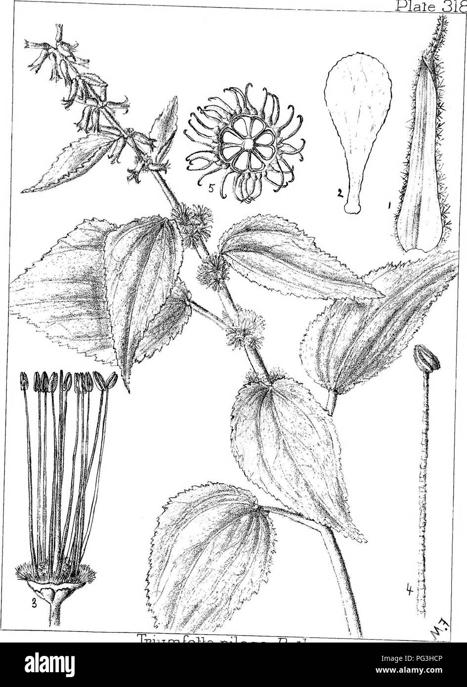 This work provides detailed descriptions and illustrations of ...