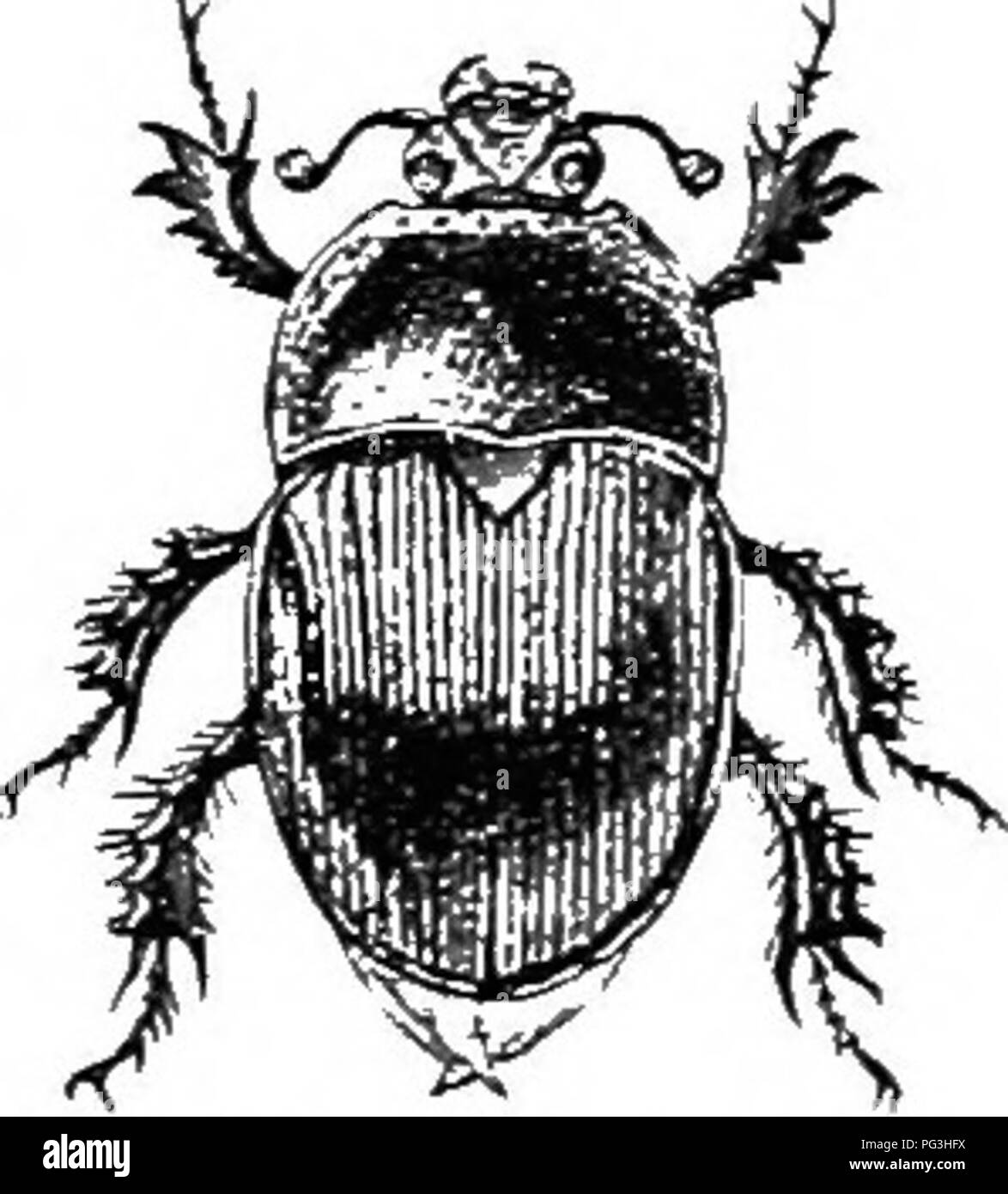 Cc aa Black and White Stock Photos & Images - Alamy