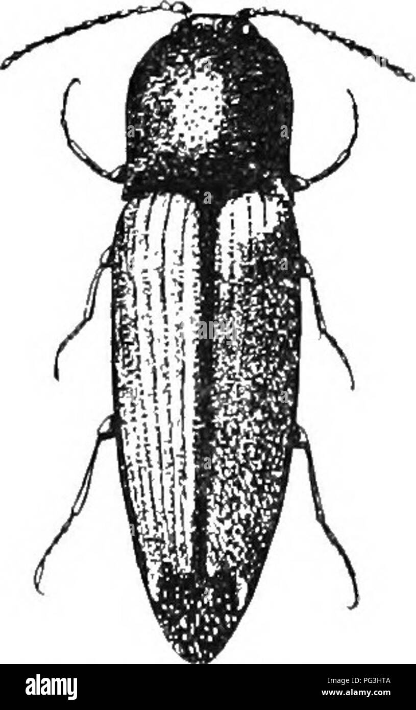 Candez hi-res stock photography and images - Alamy