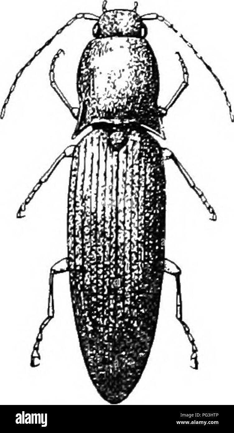 New harmony indiana hi-res stock photography and images - Alamy