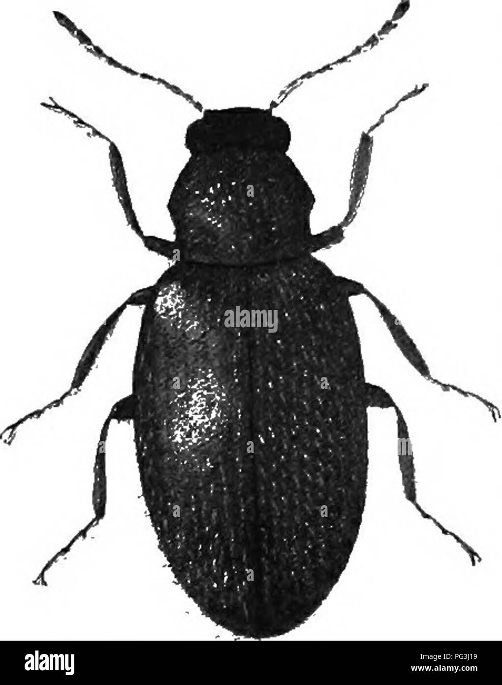 This catalog provides detailed descriptions and illustrations of ...