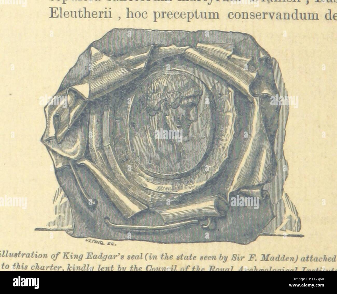 Saxonicus hi-res stock photography and images - Alamy