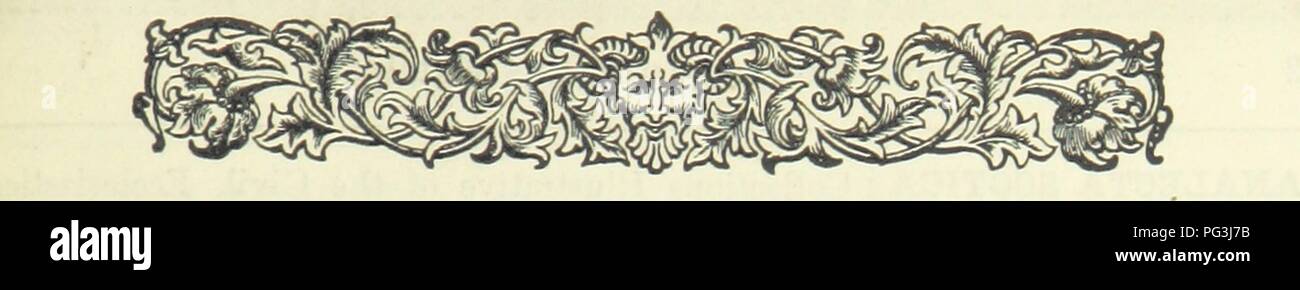 Beltrees hi-res stock photography and images - Alamy