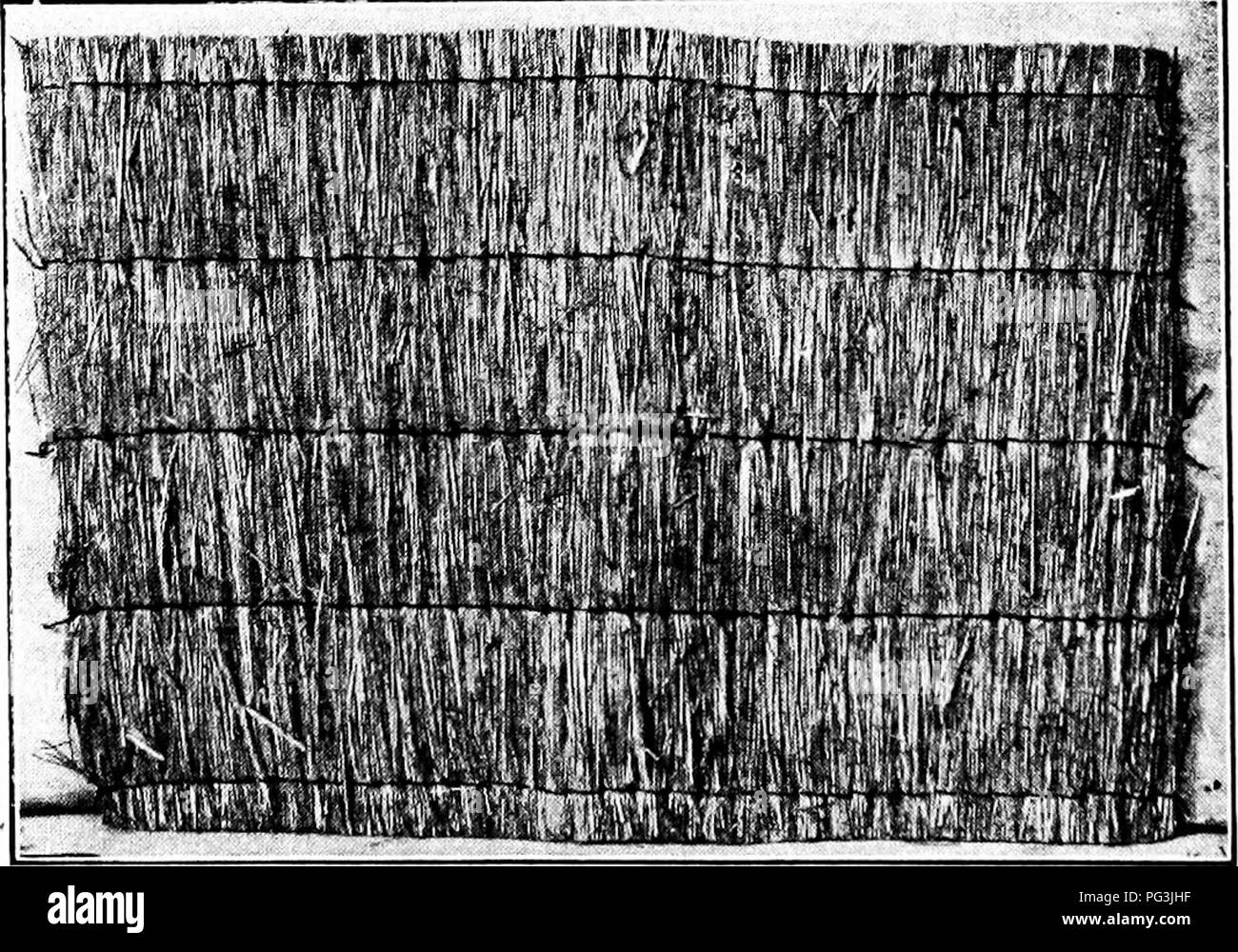 This chapter focuses on the practices of plant propagation in ...