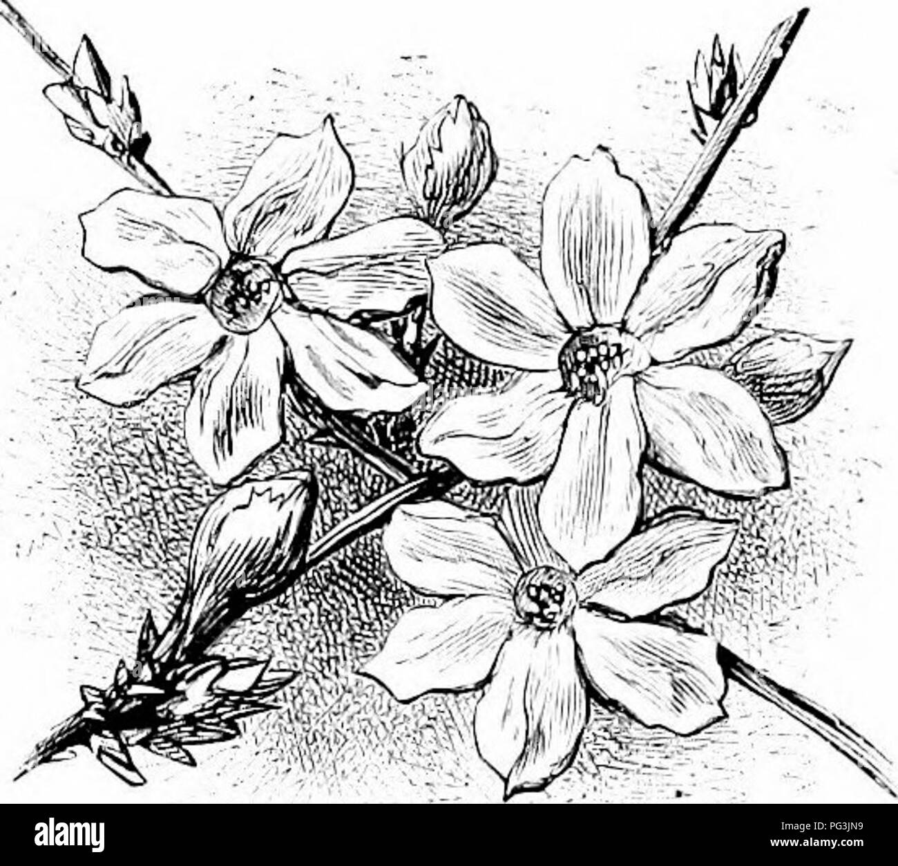 Sullying hi-res stock photography and images - Alamy