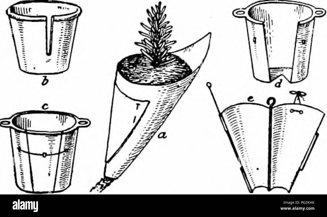 . Plant propagation : greenhouse and nursery practice . Plant ...