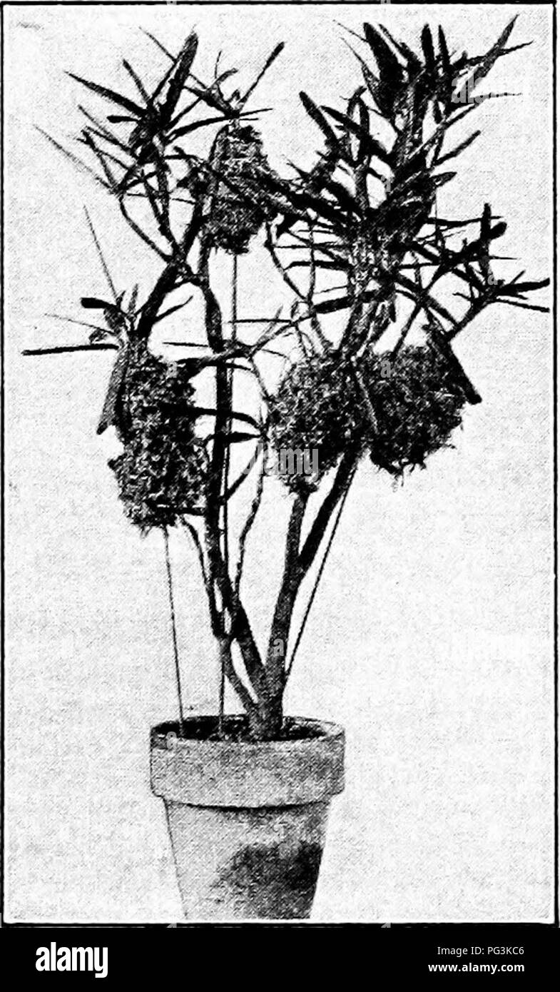 Simple layering hi-res stock photography and images - Alamy