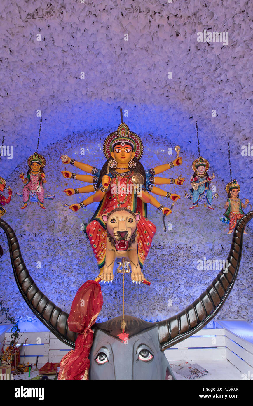 Buffalo devil s horn hi-res stock photography and images - Alamy