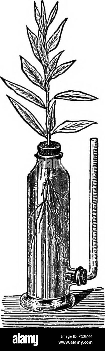 Inverted y hi-res stock photography and images - Alamy