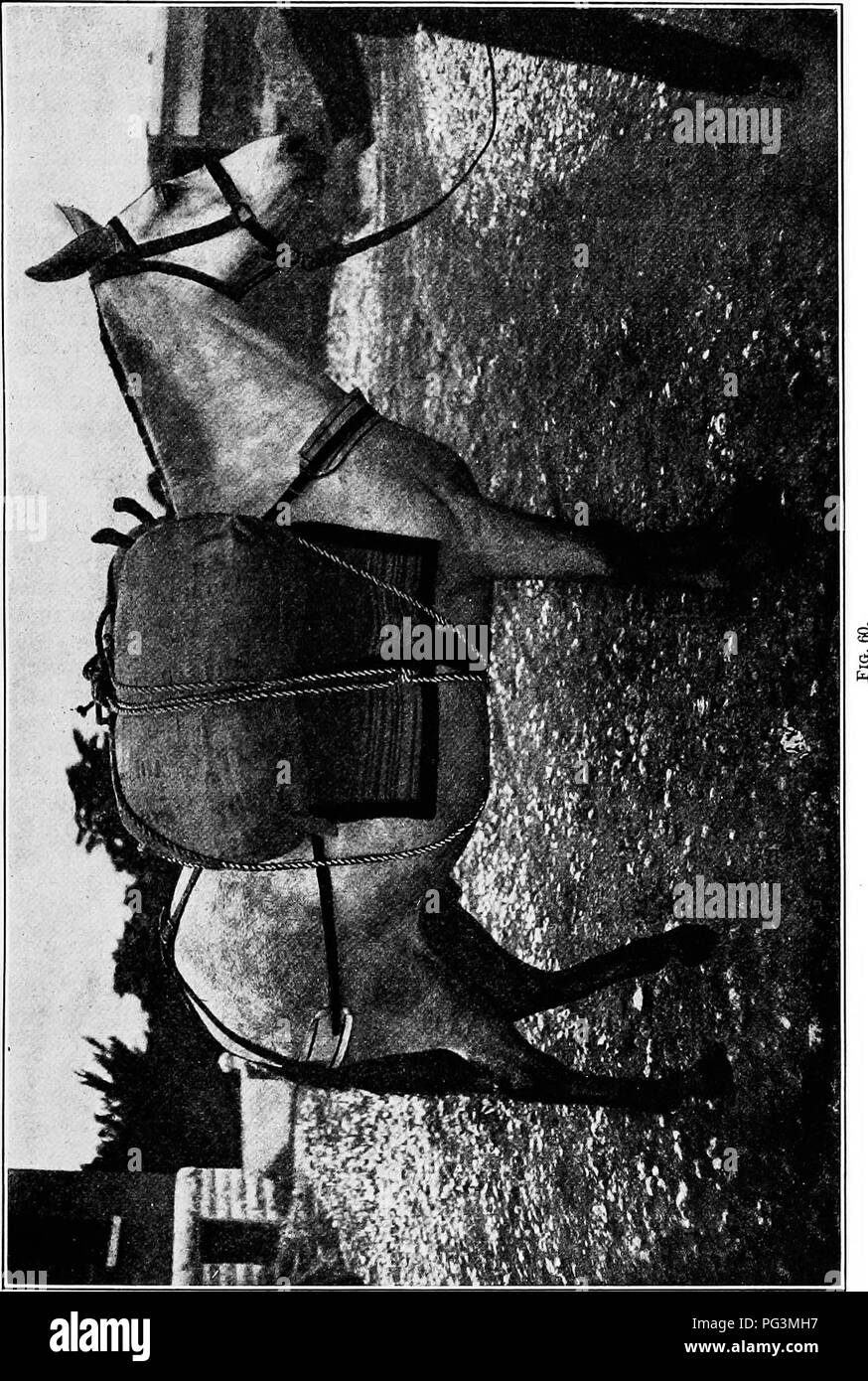 This manual, produced by the U.S. Army Quartermaster Corps, details the ...