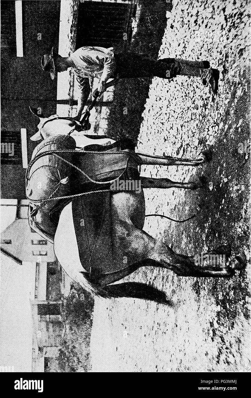 This manual provides guidelines on military pack transportation ...