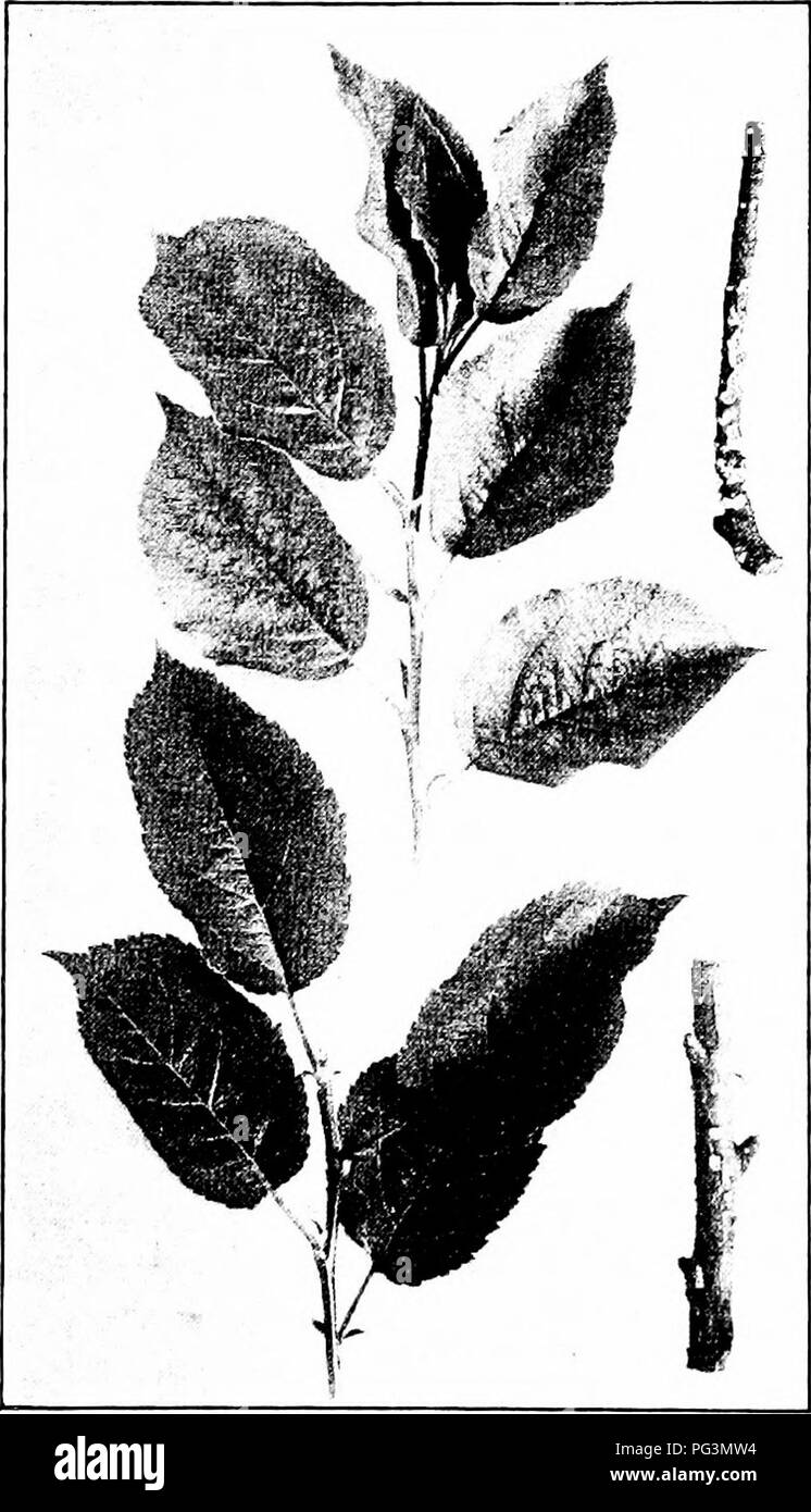 Detection symptoms Black and White Stock Photos & Images - Alamy