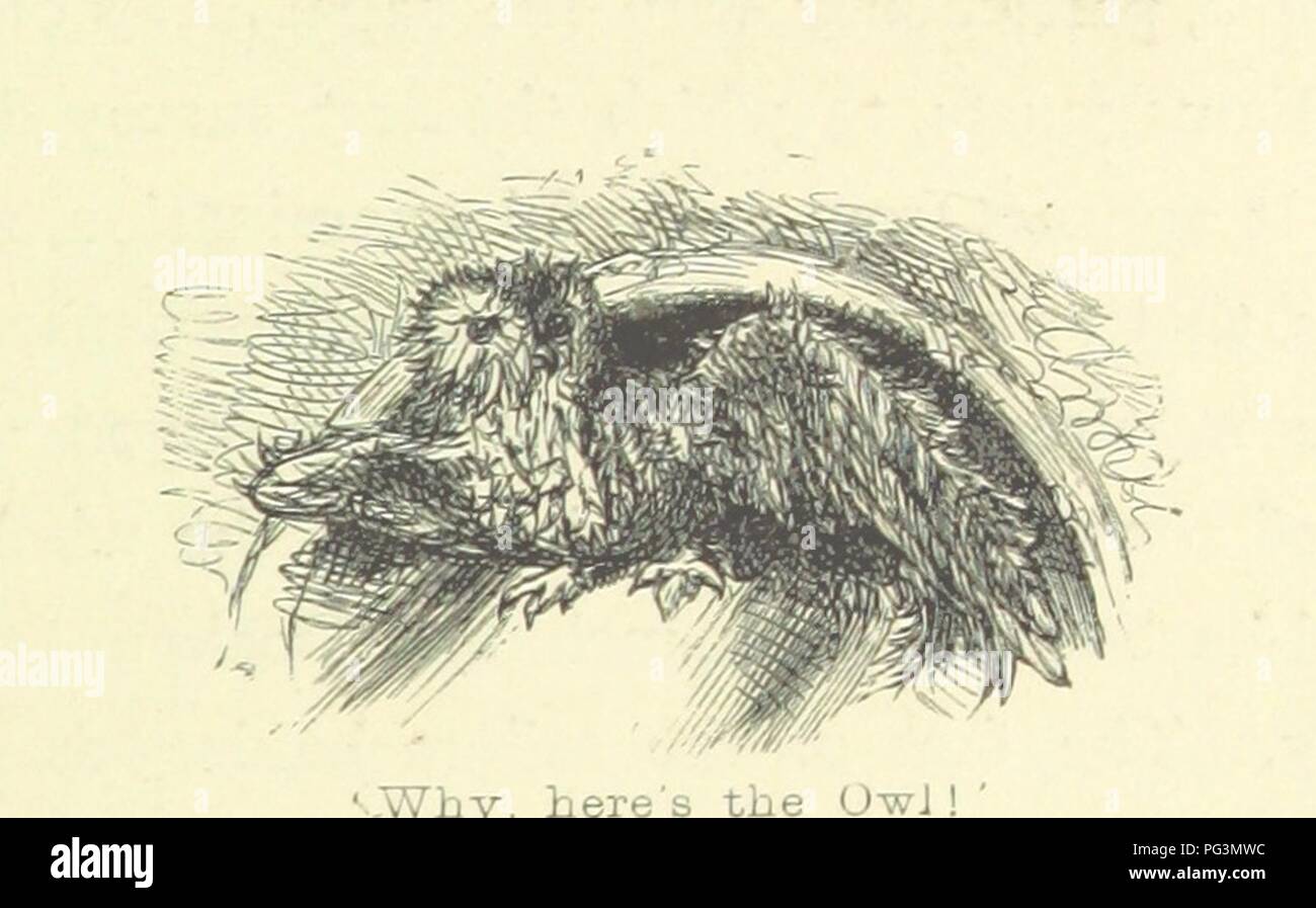Image from page 369 of 'Sunshine and Storm in the East; or, Cruises to ...