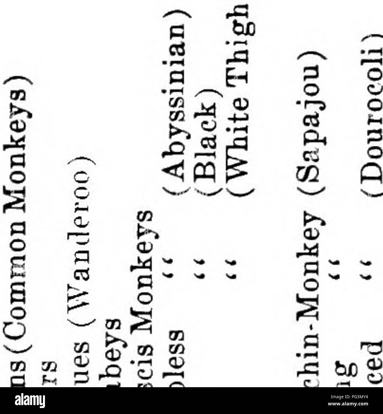 Classification of animals chart hi-res stock photography and images - Alamy