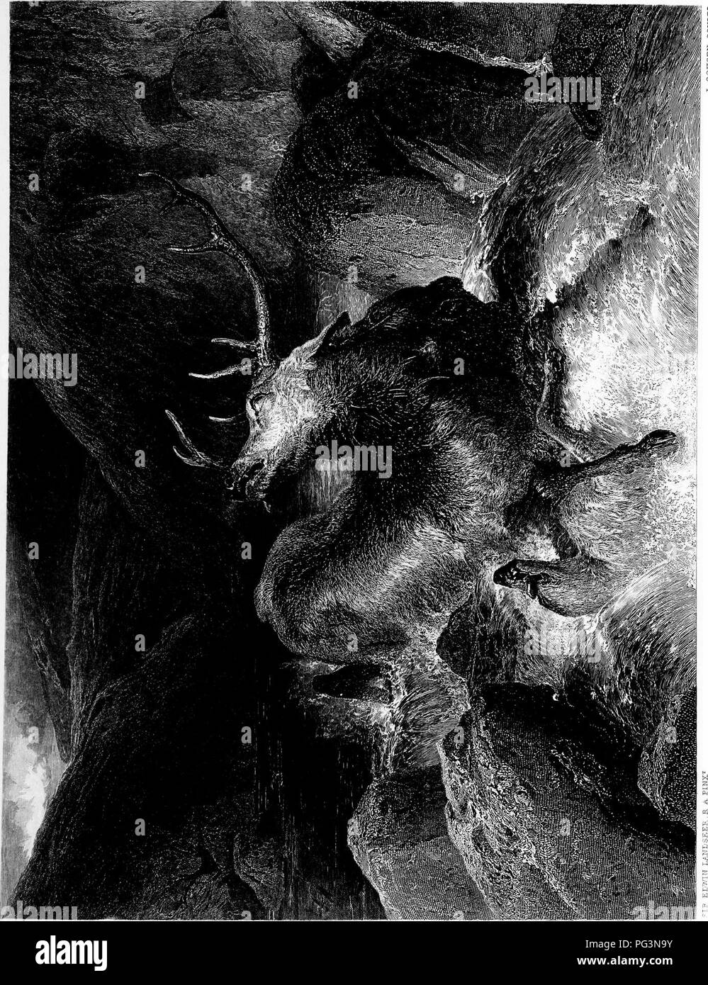 The collection includes various artworks by Sir Edwin Landseer ...