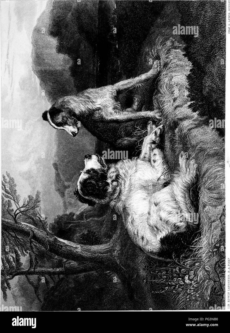 This collection showcases the works of Sir Edwin Henry Landseer, known ...