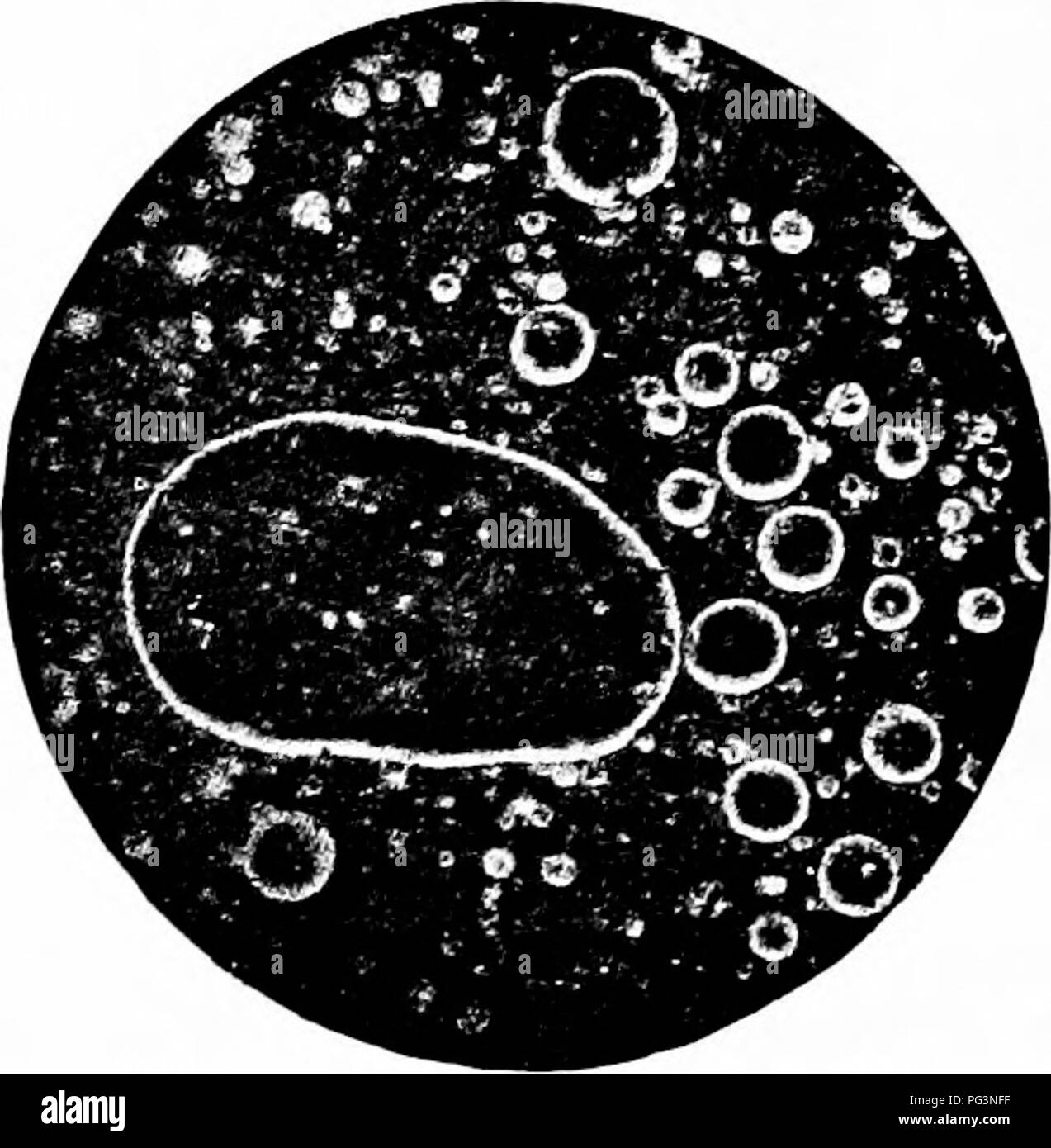 Minute components hi-res stock photography and images - Alamy