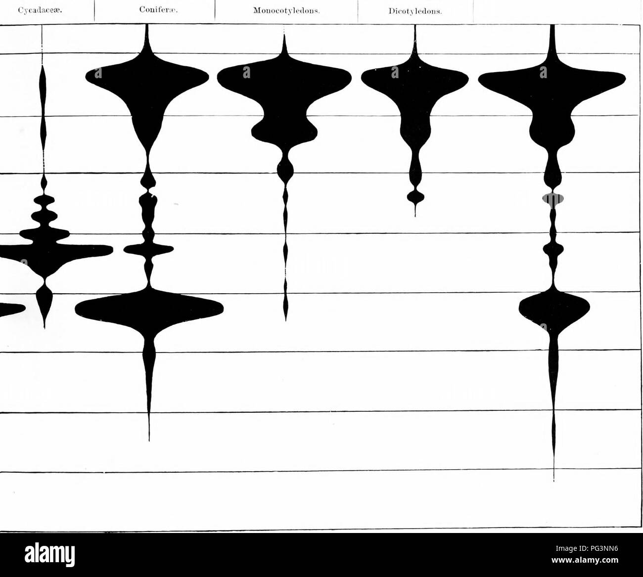 This document outlines the evolution of paleobotany, focusing on ...