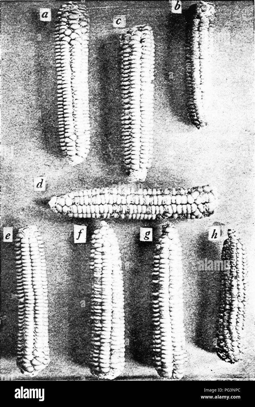This educational resource for agricultural students covers plant ...