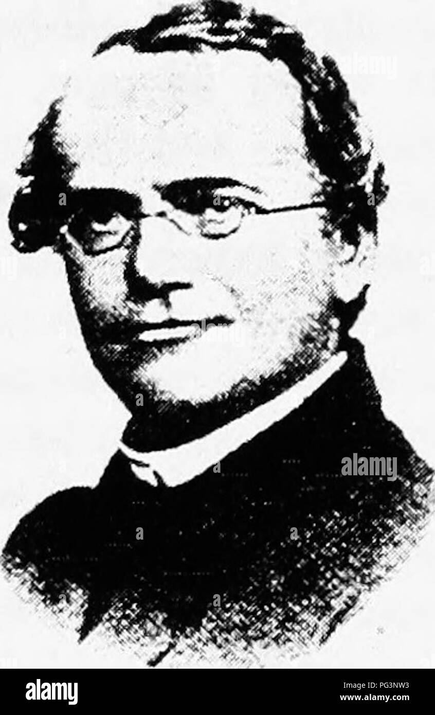 Gregor Mendel High Resolution Stock Photography and Images - Alamy