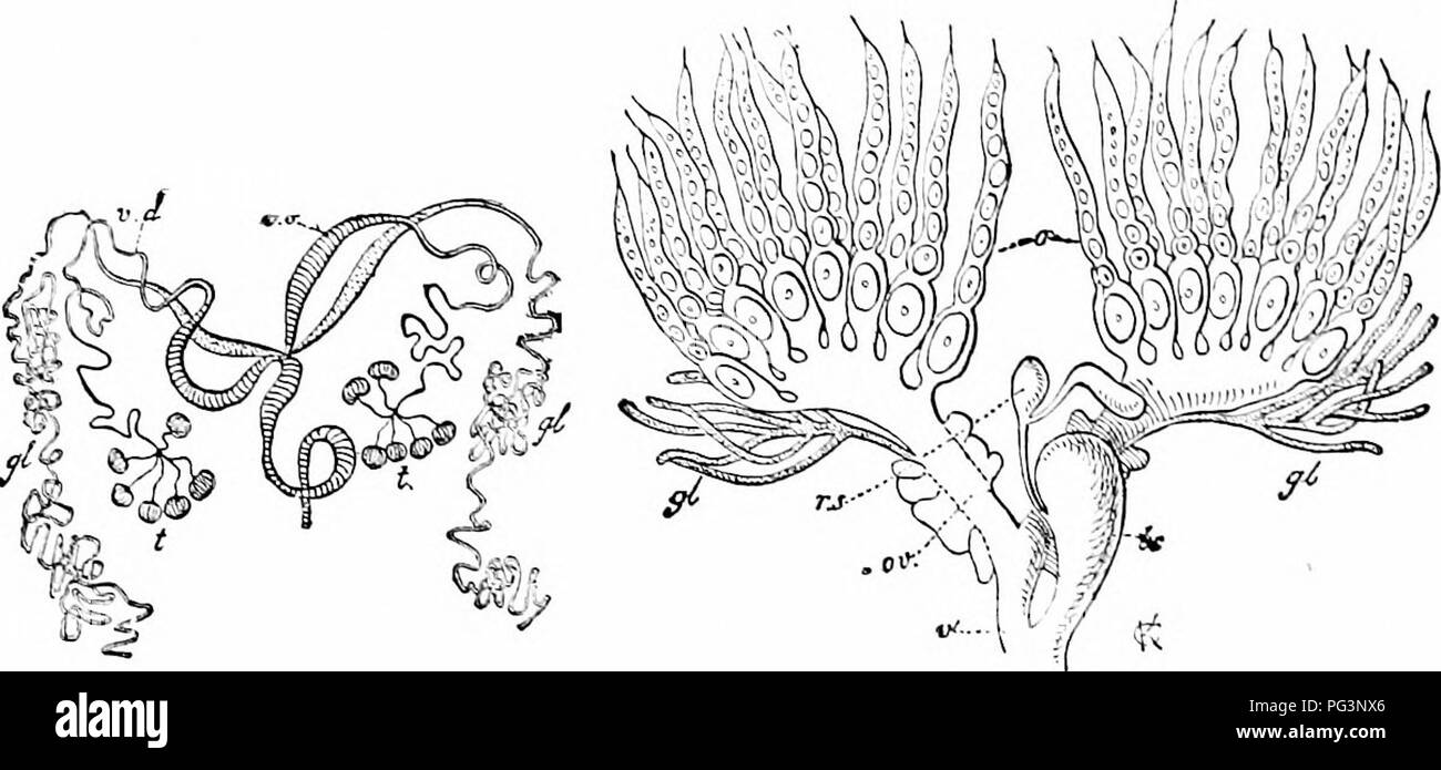 This manual provides comprehensive details on the classification and ...