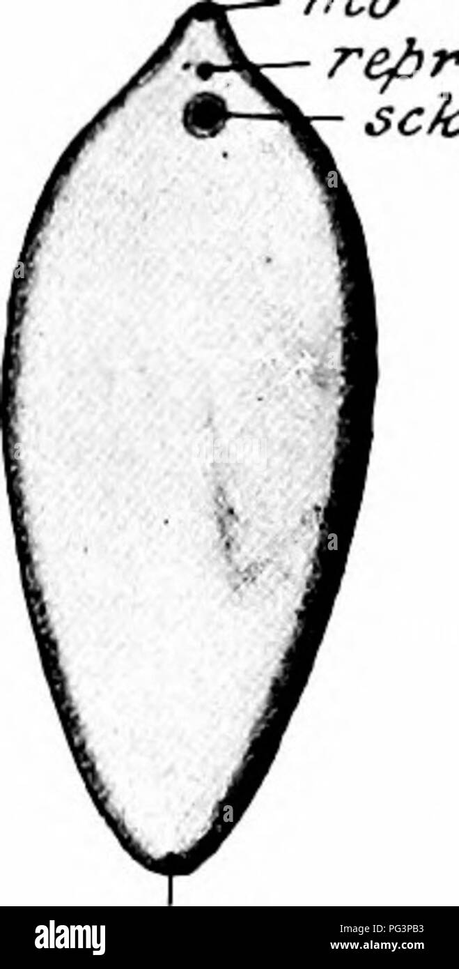 Median Aperture