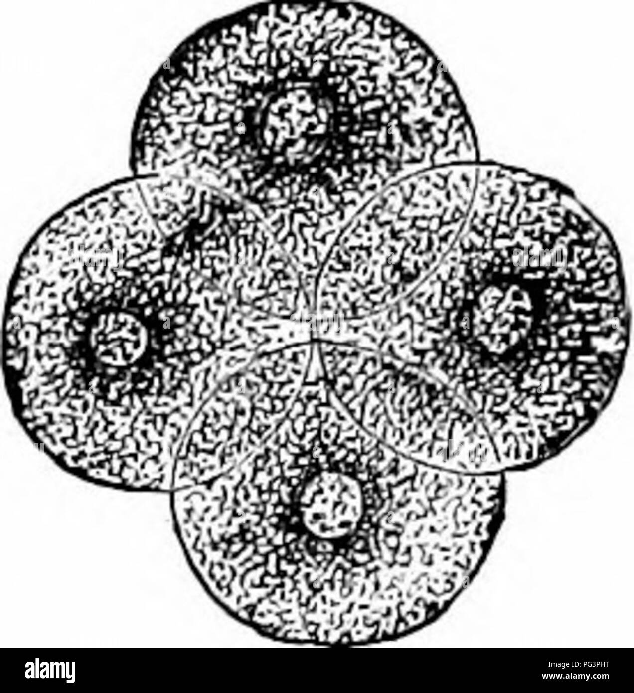 Arrangement formed Black and White Stock Photos & Images - Alamy