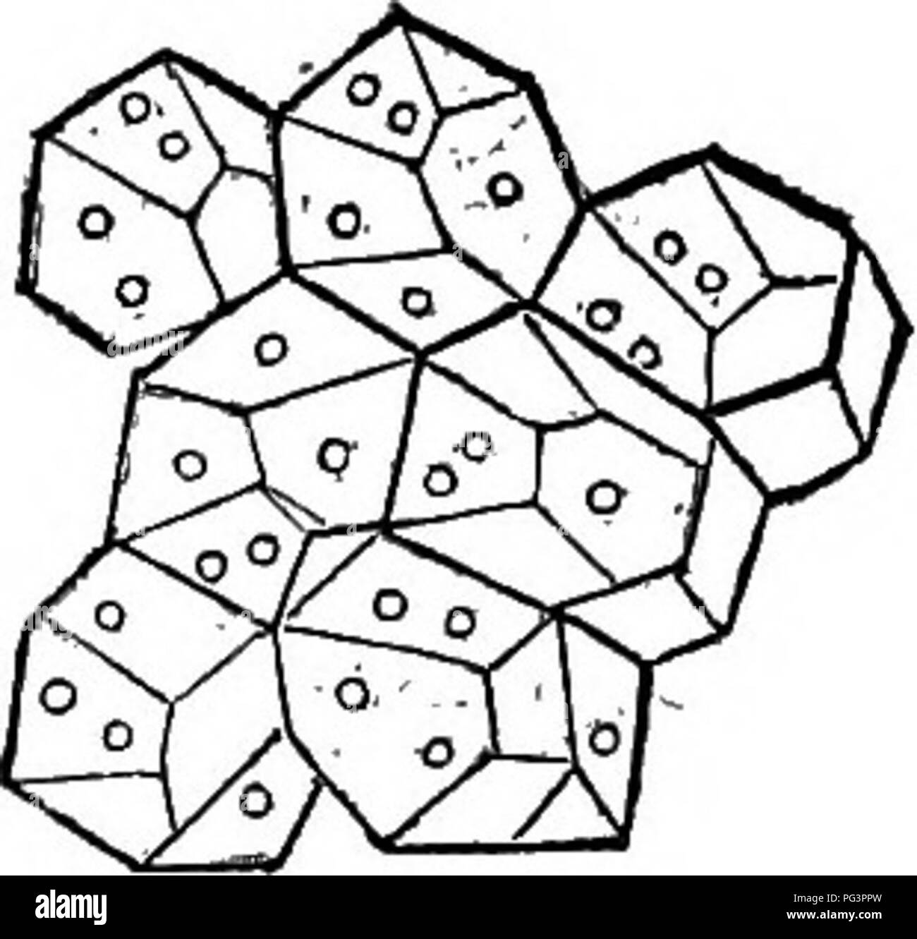 Cubical images Cut Out Stock Images & Pictures - Alamy