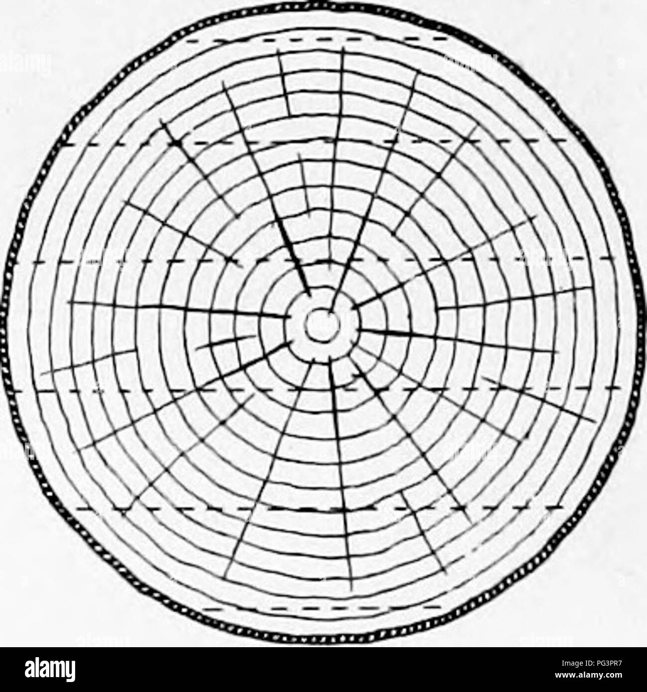 This image demonstrates the common woodworking defect known as 'shake ...
