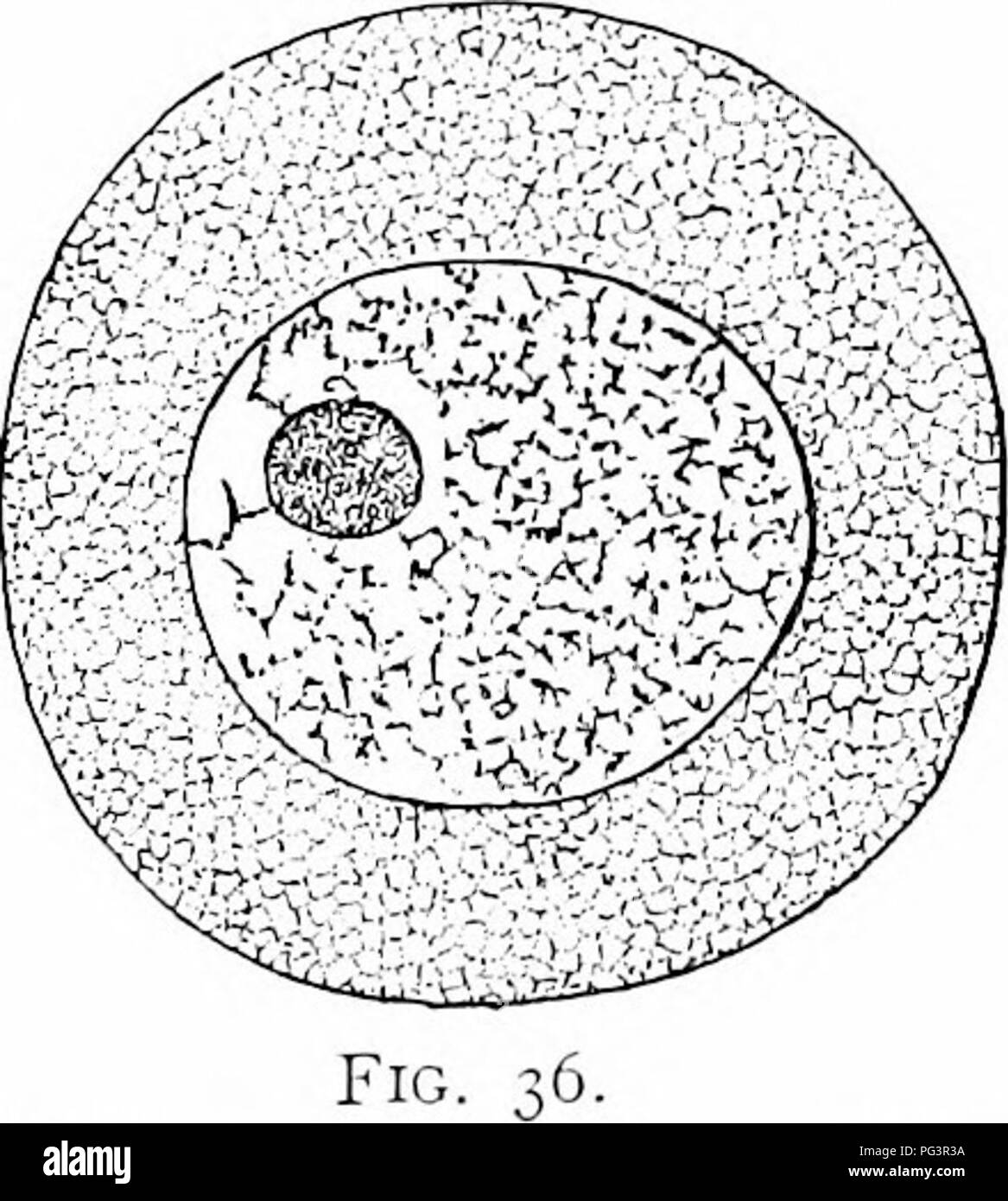 This manual covers the principles of zoology, focusing on the study of ...