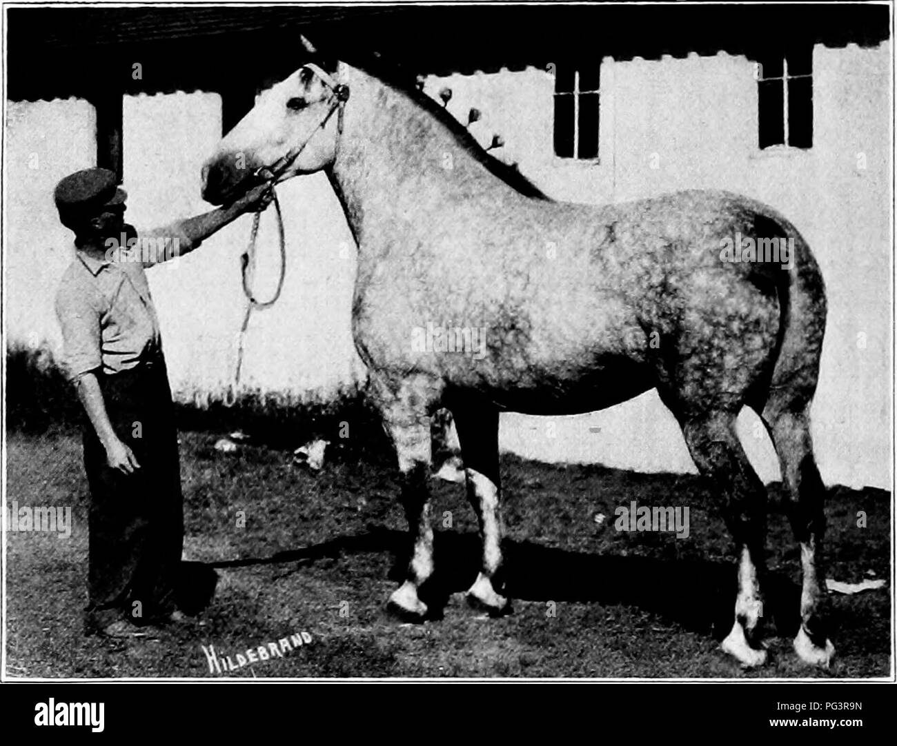 This historical account traces the origin and development of the ...