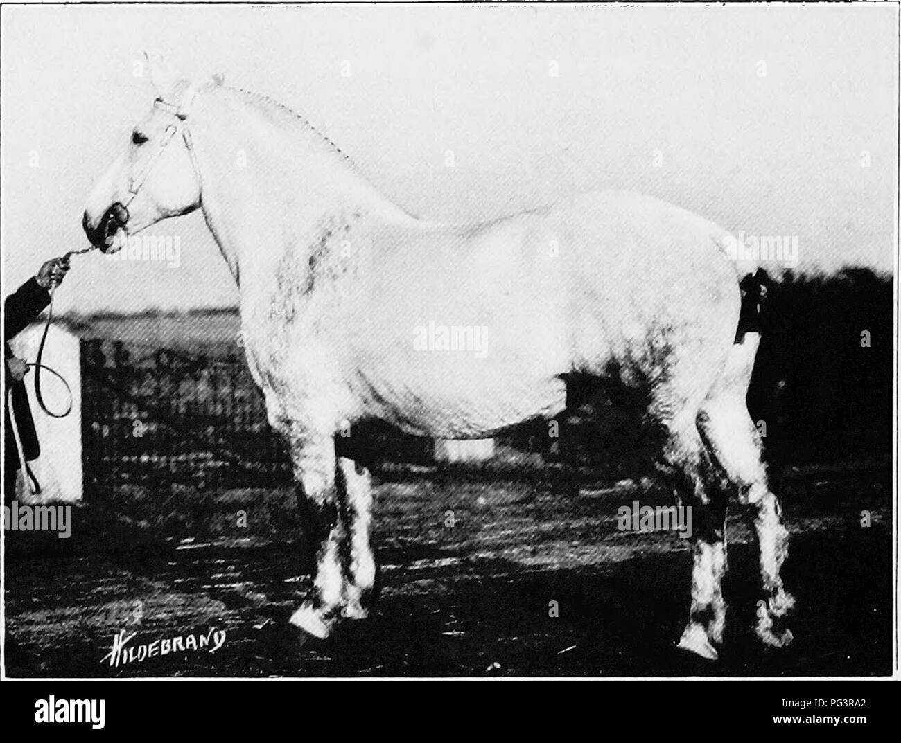 This historical account details the origin and development of the ...