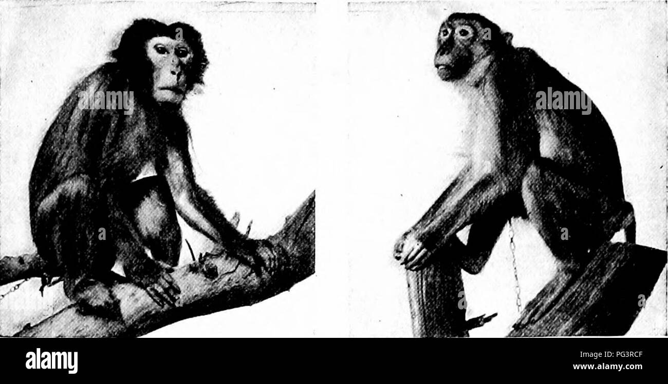 This official guide to the New York Zoological Park provides ...