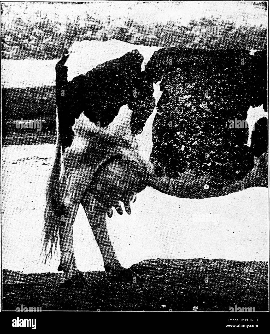 This guide explains the principles of butter-making, covering milk's ...