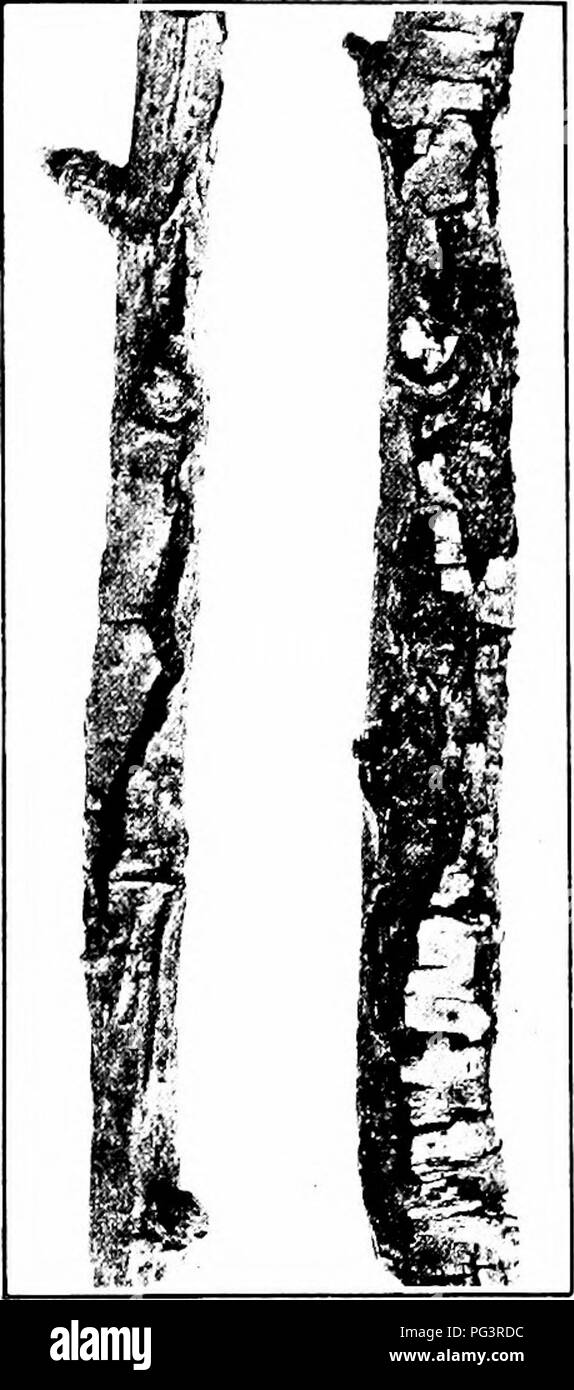 Rise of the sinks hi-res stock photography and images - Alamy