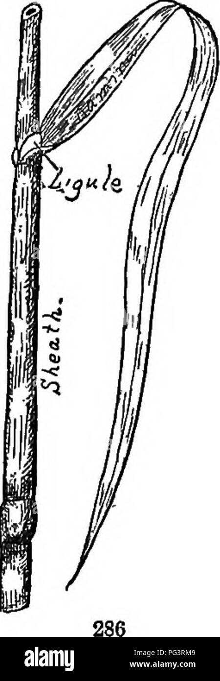 Two upper consist hi-res stock photography and images - Alamy