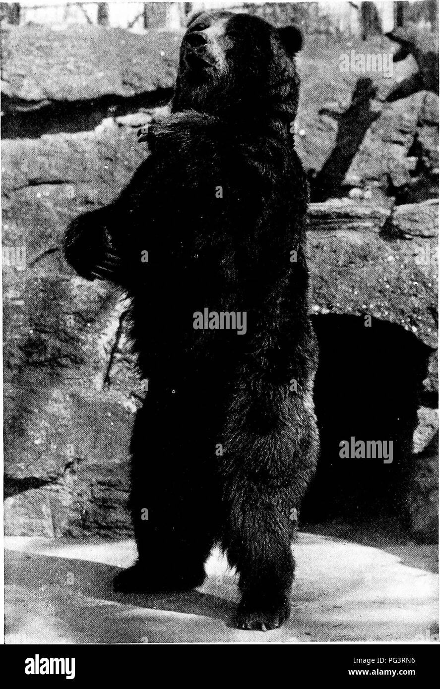 This guide provides detailed information about the animals housed in ...