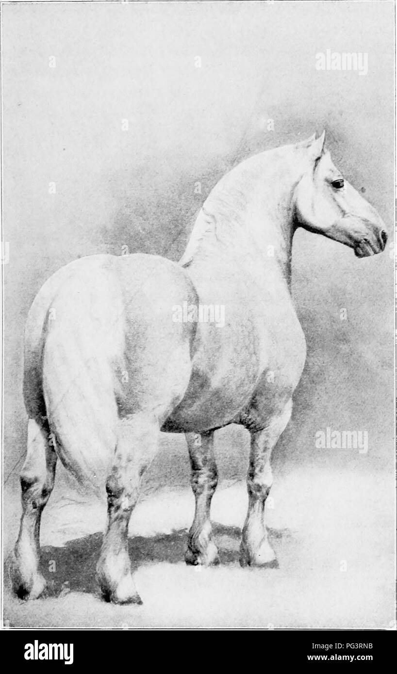 This historical account details the origin and development of the ...