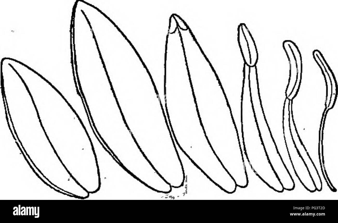 Systematic joints hi-res stock photography and images - Alamy