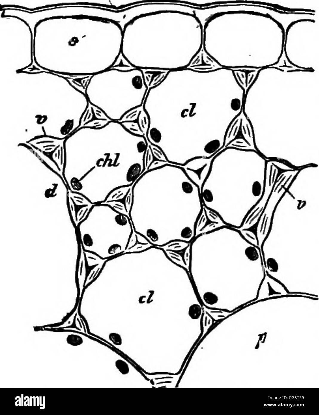 Prismatic forms hi-res stock photography and images - Alamy