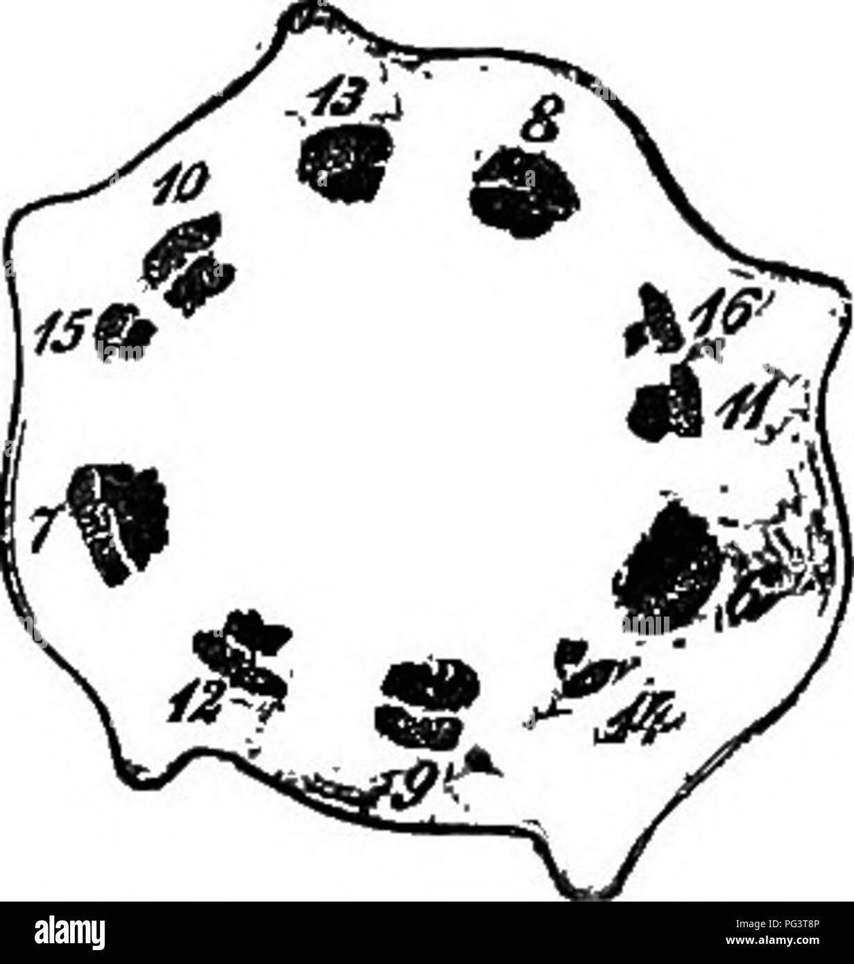 Everal Black and White Stock Photos & Images - Alamy