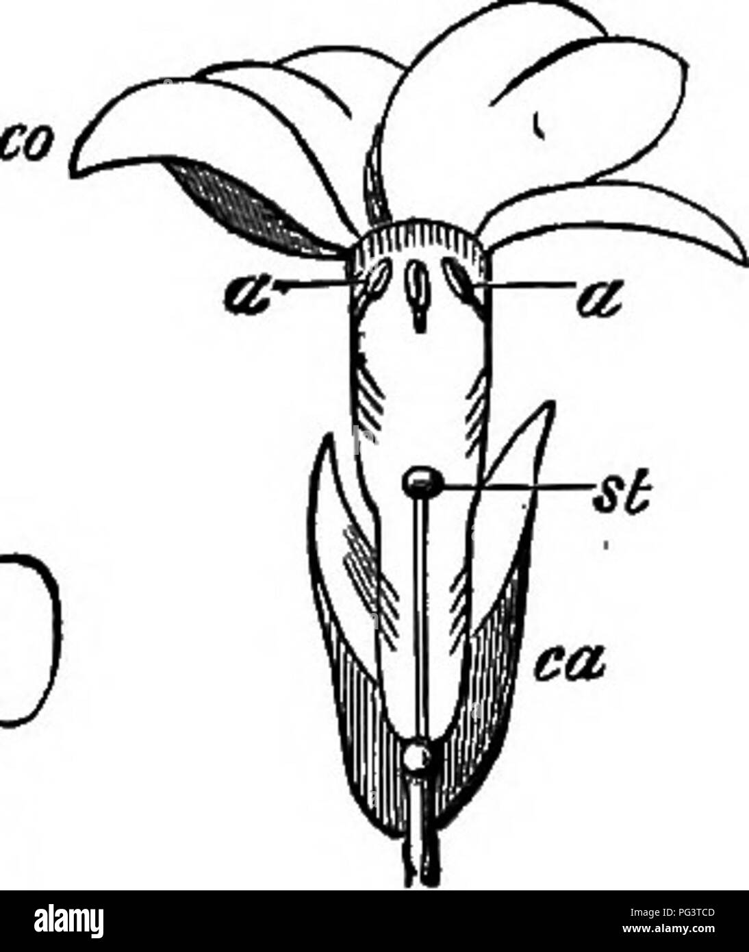 Ecosystem functions Cut Out Stock Images & Pictures - Alamy
