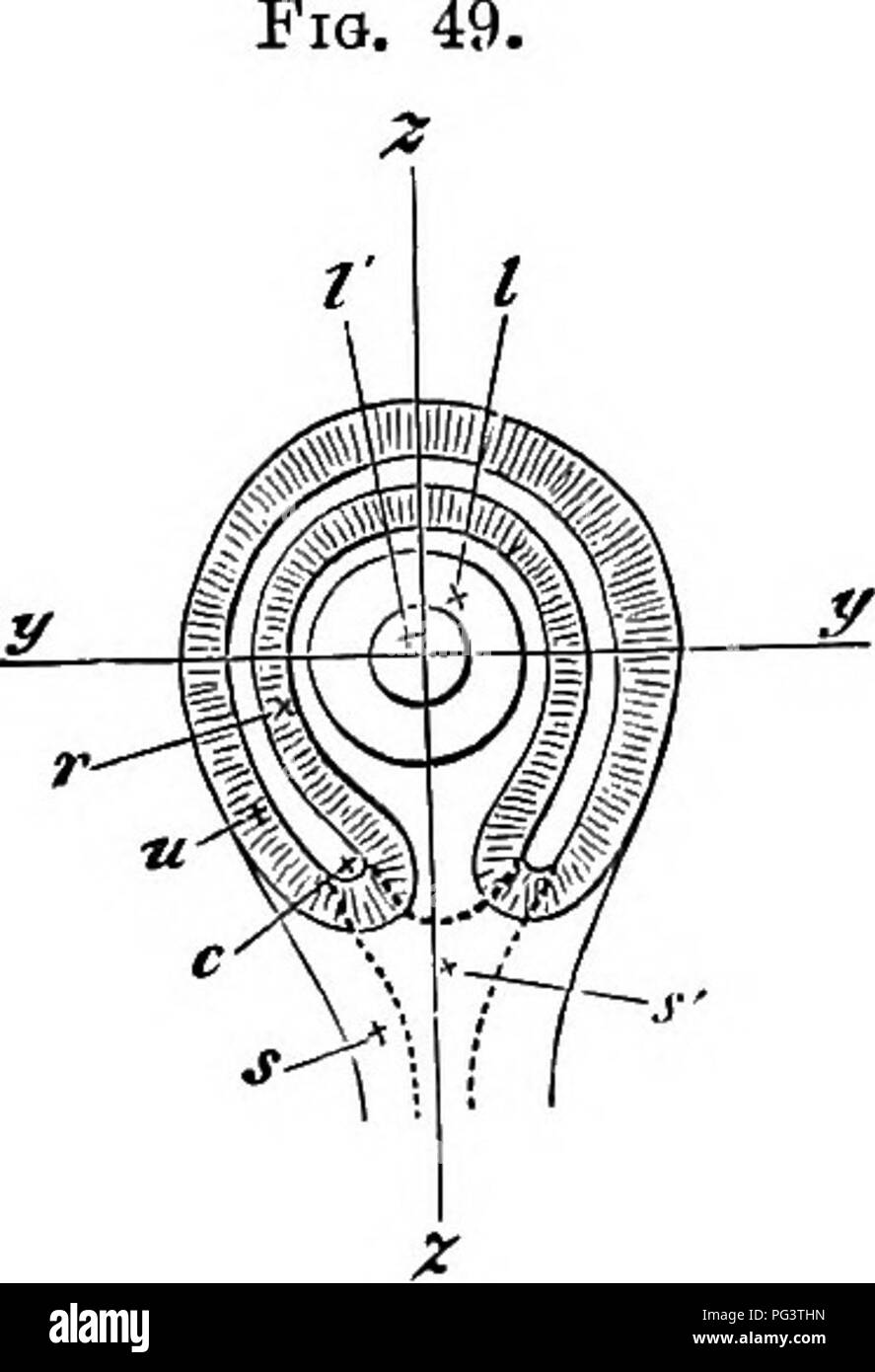 . The elements of embryology . Embryology. 138 THE THIRD DAY. [chap ...