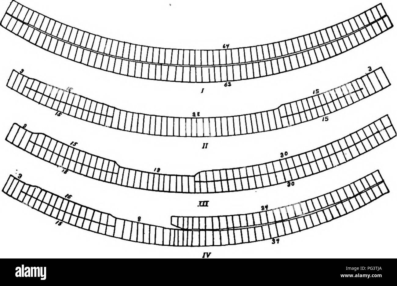 This biological study of twins in mammals explores the variation in ...