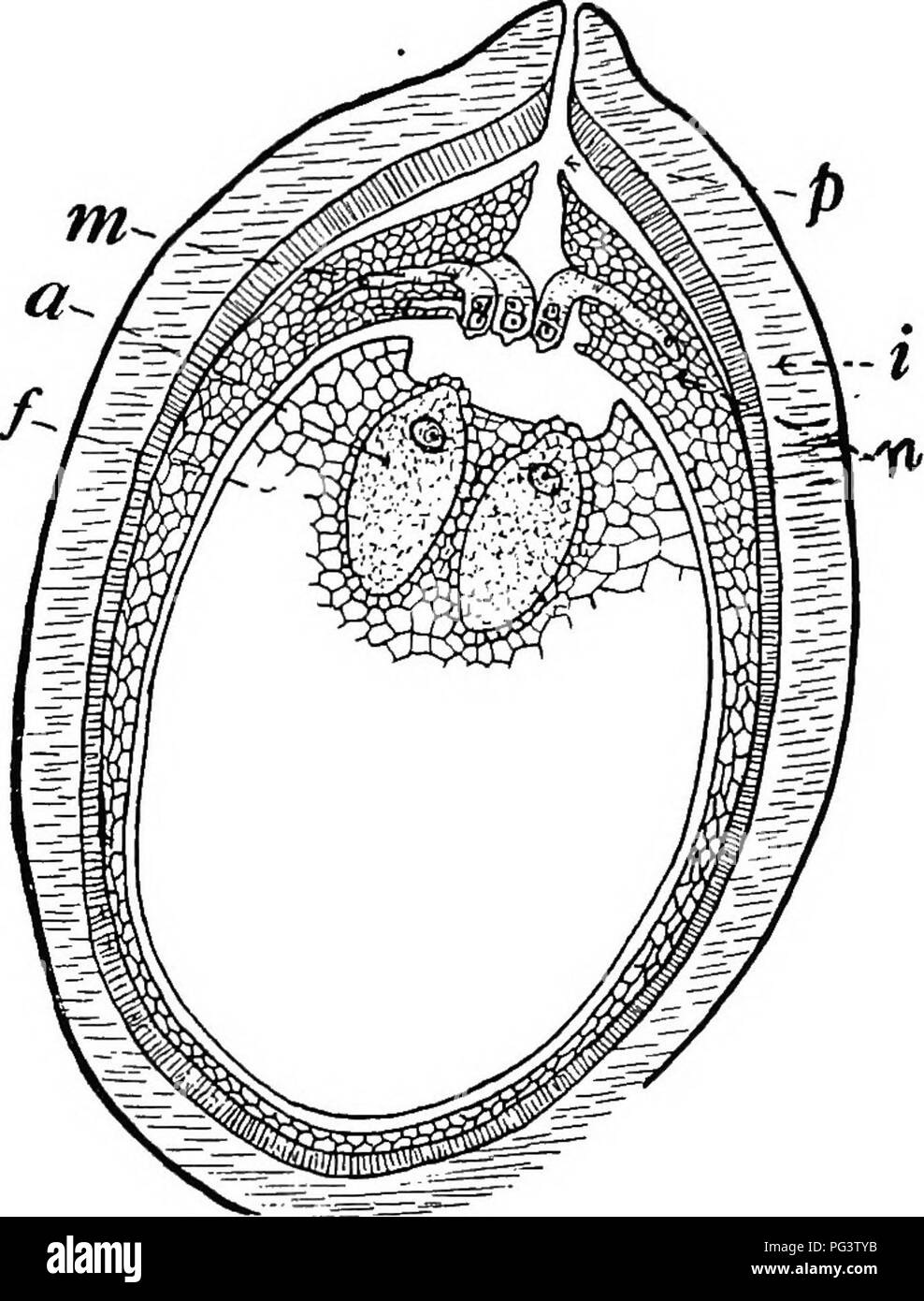 This section of 'Botany for Agricultural Students' focuses on the ...