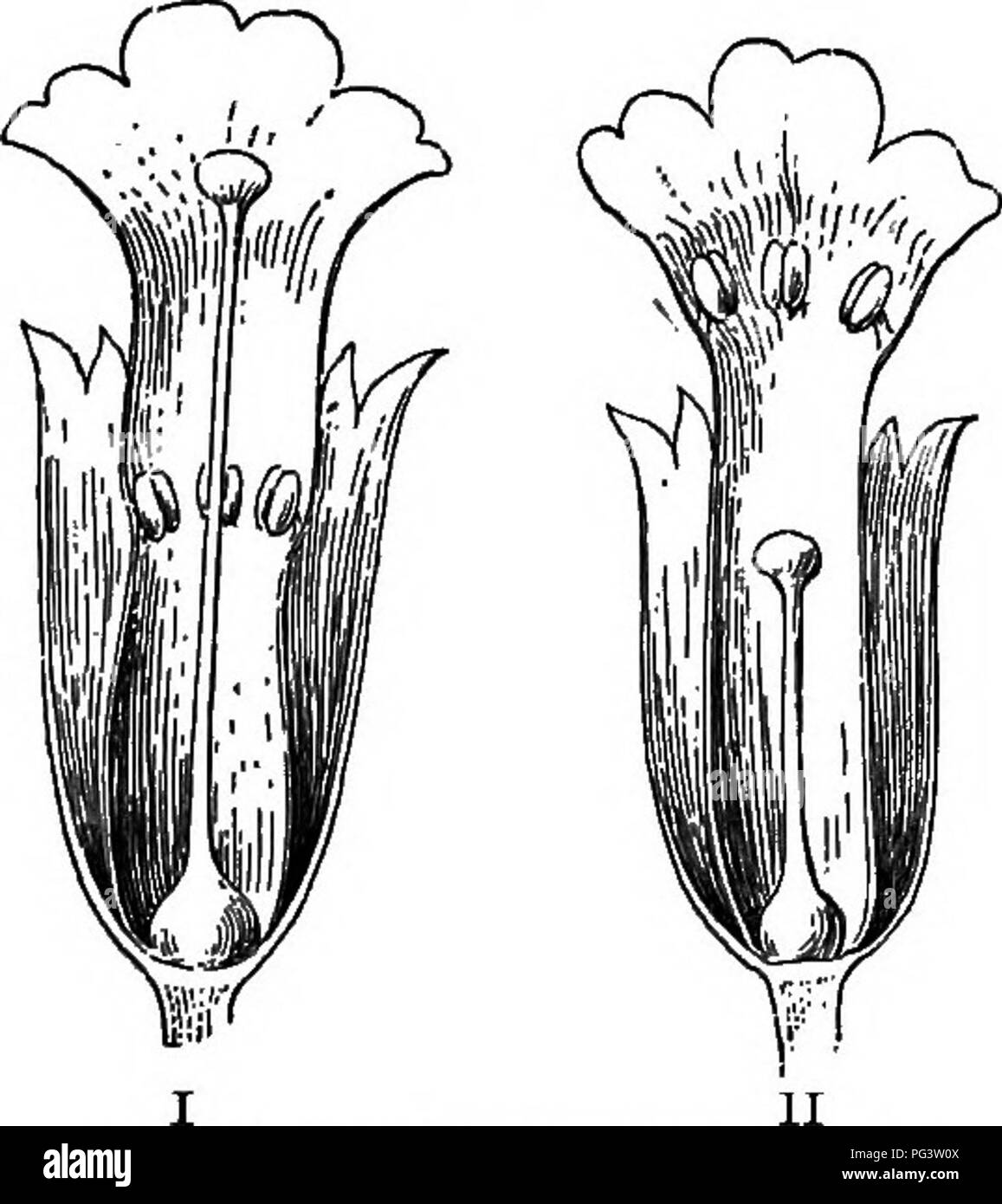 Connectives Cut Out Stock Images & Pictures - Alamy