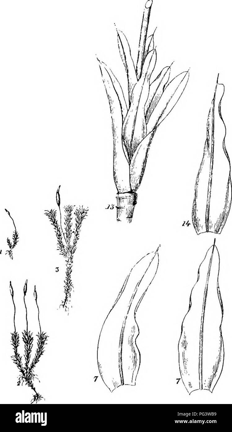 This handbook by Abel Joel Grout offers an accessible guide to ...