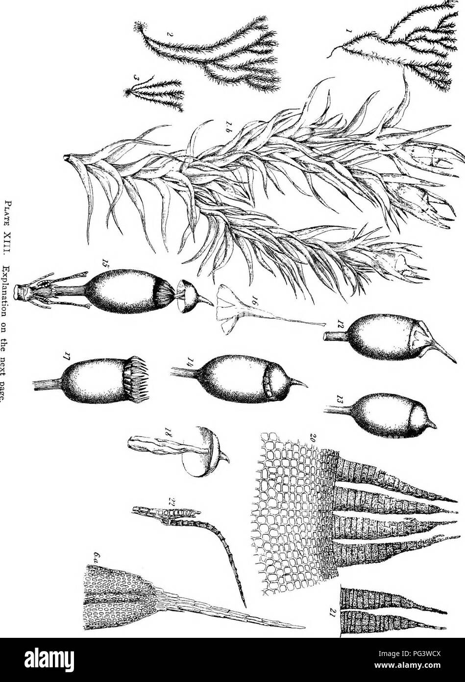 This guide by Abel Joel Grout provides non-technical instructions for ...