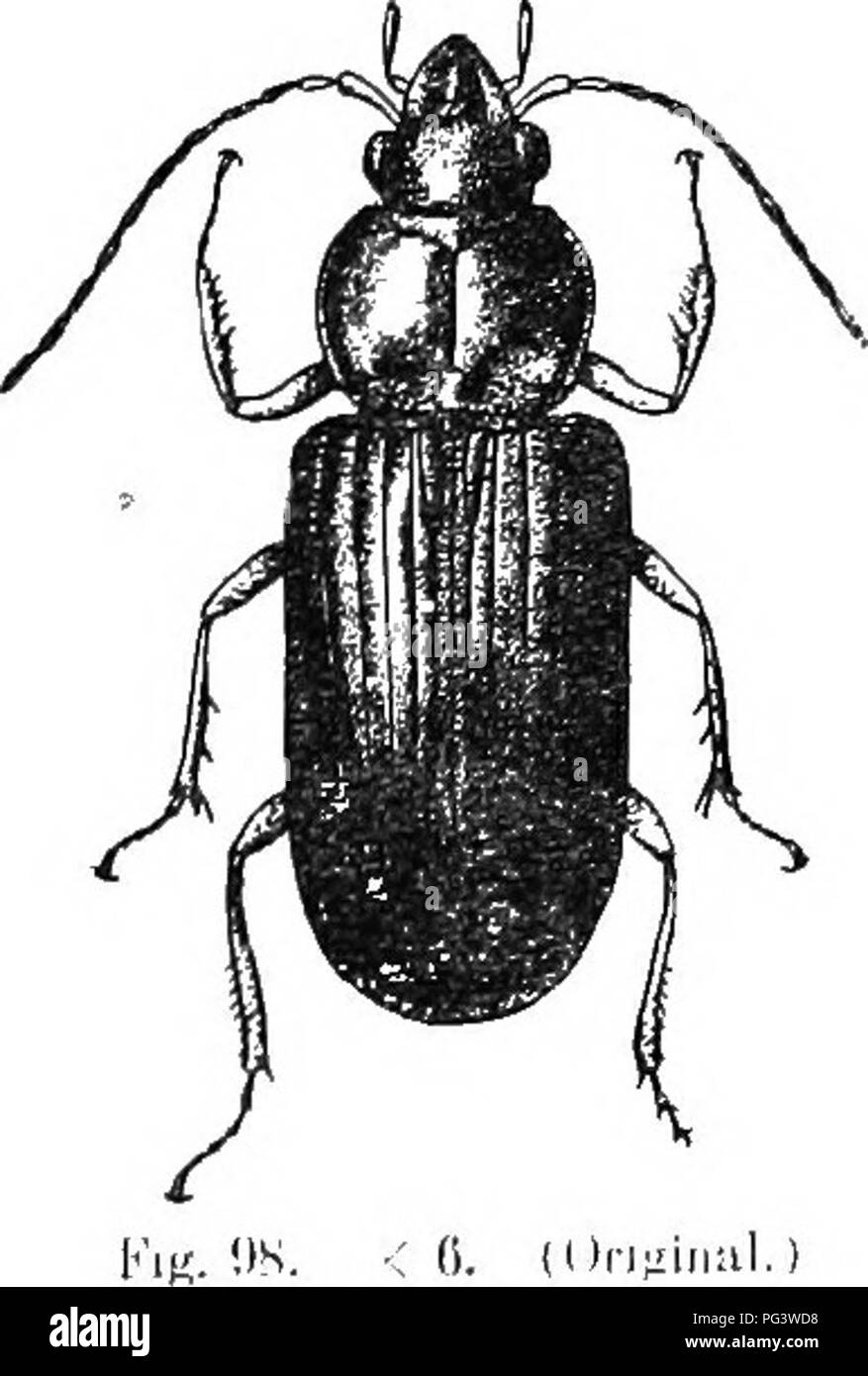 Fig 97 Black and White Stock Photos & Images - Alamy