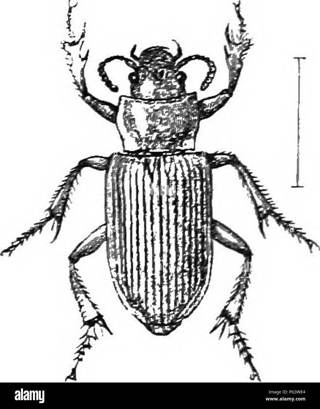 Juter Black and White Stock Photos & Images - Alamy